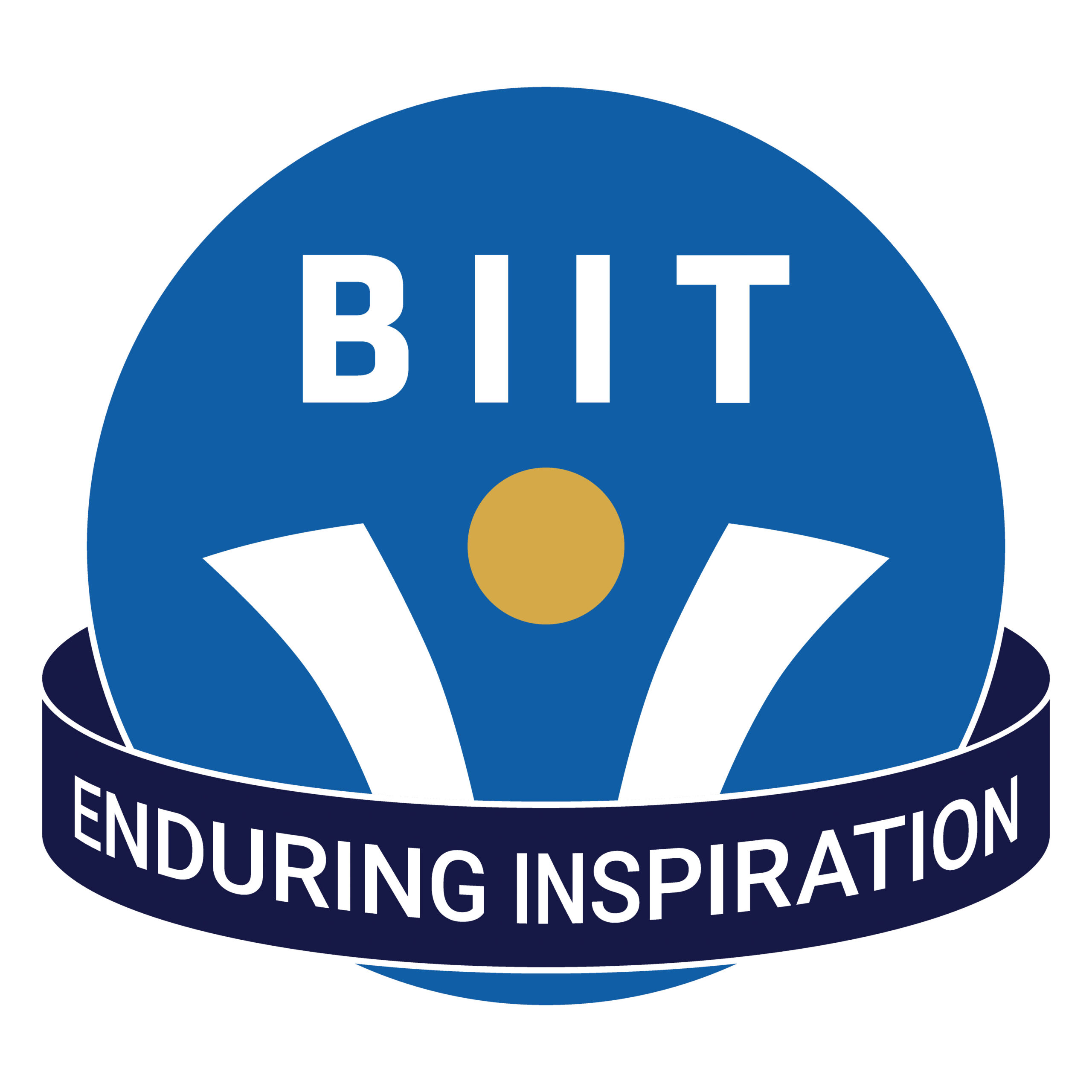 Biit Logo BIIT Logo & Brand Assets (SVG, PNG And Vector) Brandfetch